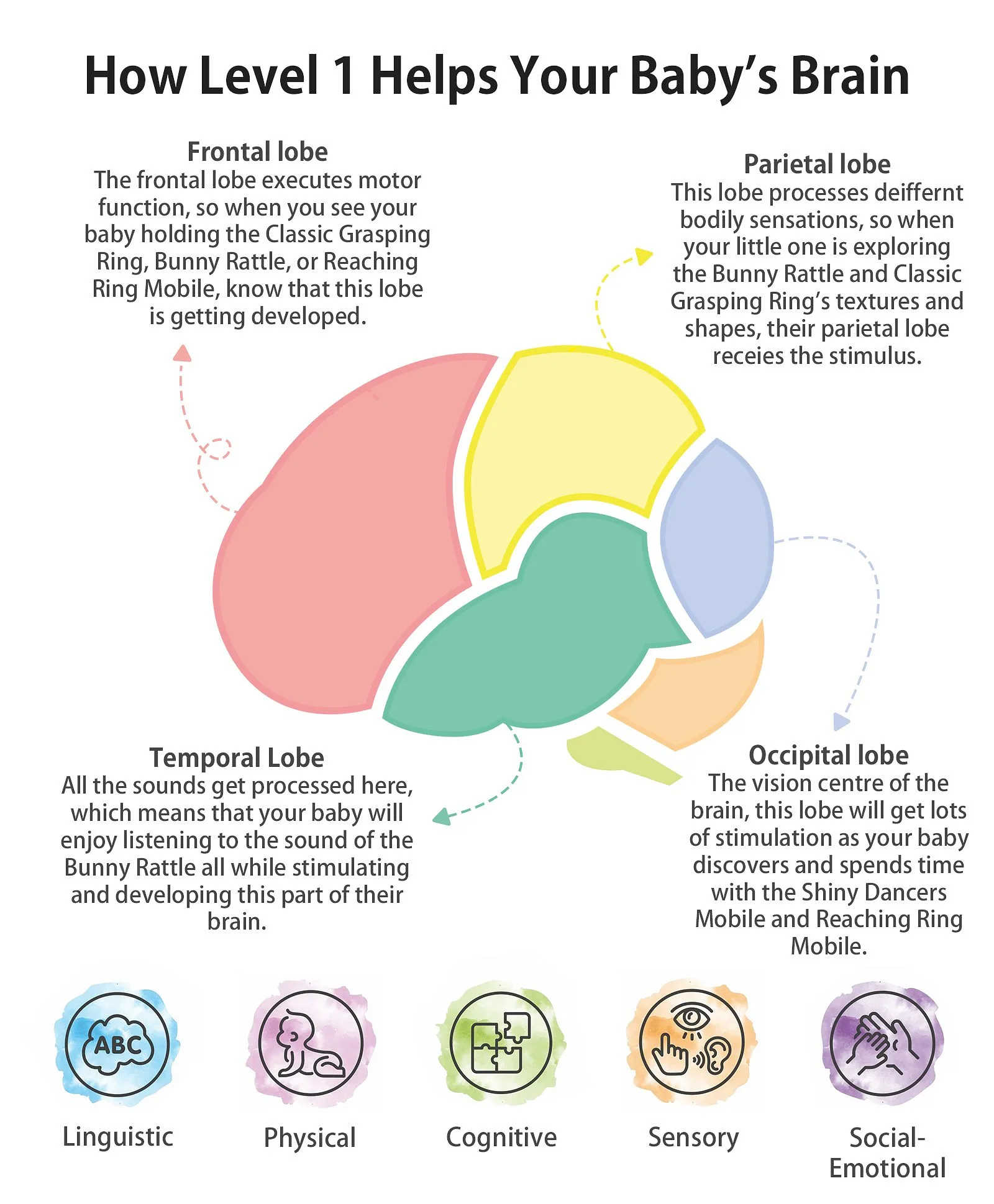 Buy Intellibaby Level 1 (5 Brain Development Toys) 2 months Plus Online ...