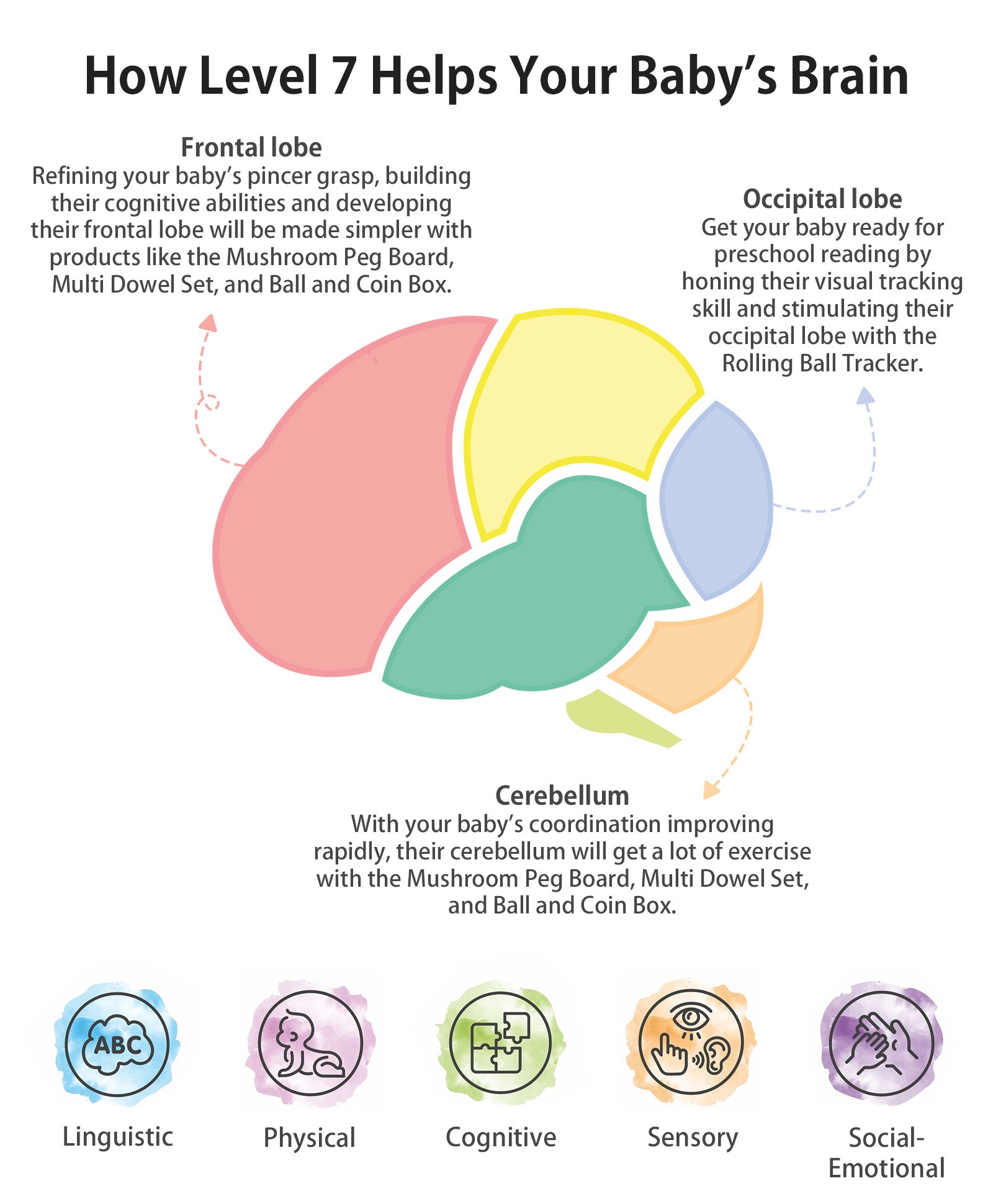 Buy Intellibaby Level 7 (4 Brain Development Toys) 14 months Plus ...