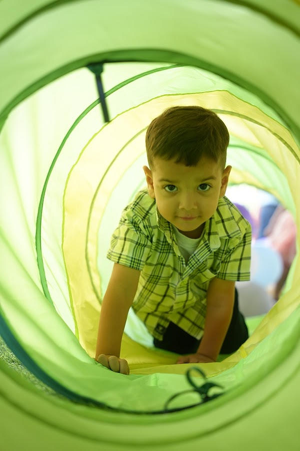 Best Daycare, Playschools and Preschools in India - FirstCry Intellitots